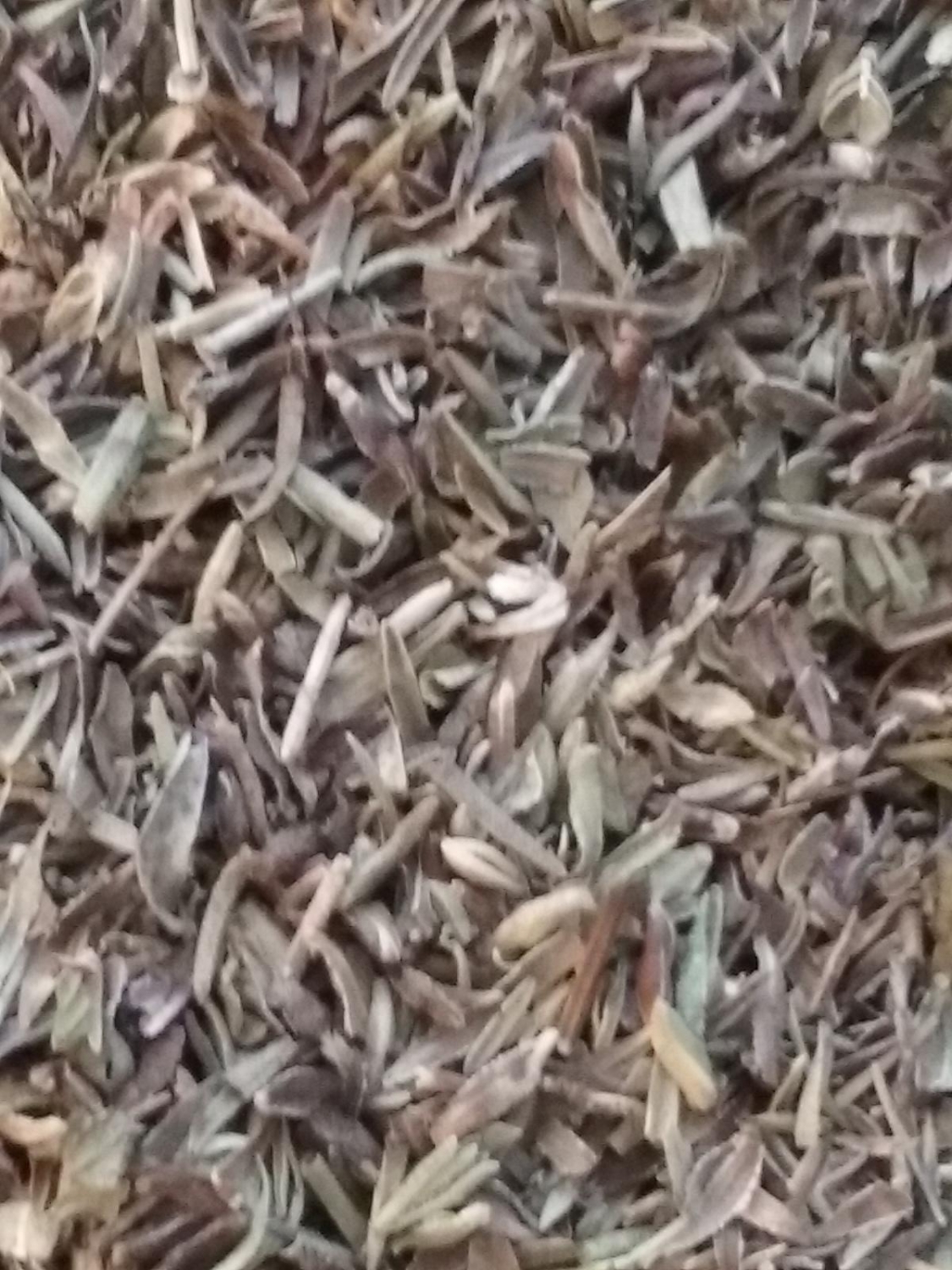 Summer Savory Leaf, Organic, Cut & Sifted - Local House of Health