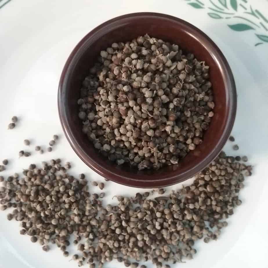Chaste Tree Berry, Whole - Local House of Health